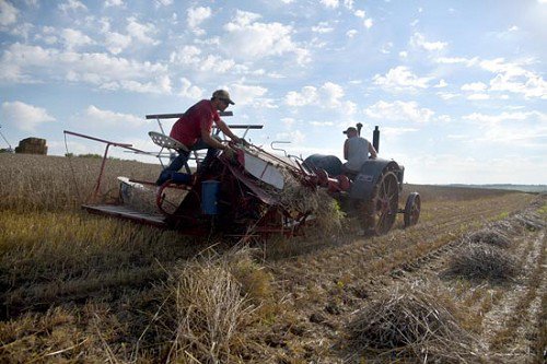 Farming the old-fashioned way - Monroe Times