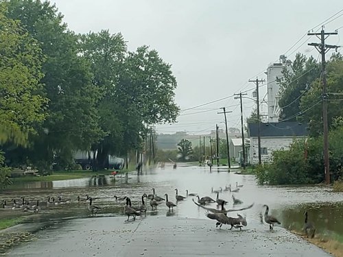 Safety a priority during wet weather - Monroe Times