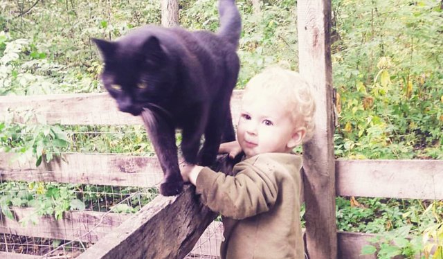 Some thoughts about the cat named ‘Lunch’ - SWNews4U