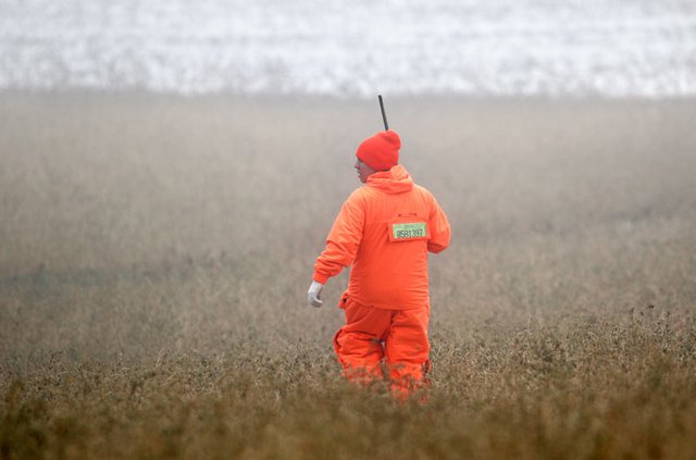 Wis. DNR: 2024 preliminary gun deer license sales and harvest totals ...