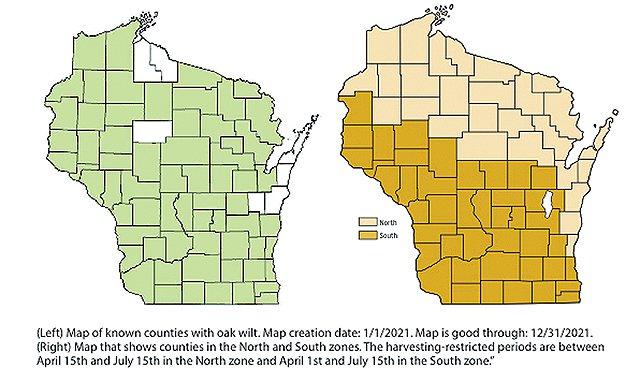 Oak Wilt increasingly a problem for local landowners - SWNews4U