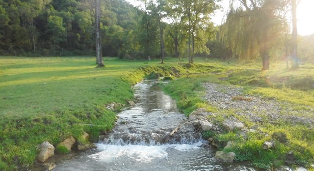 Work is completed on Conway Creek streambank restoration - SWNews4U