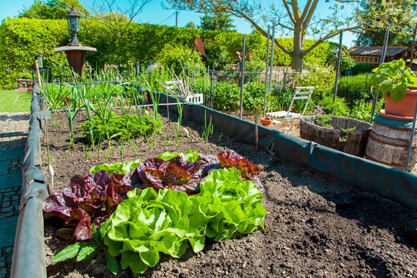 Master Gardener symposium to feature retired longtime meteorologist Bob ...