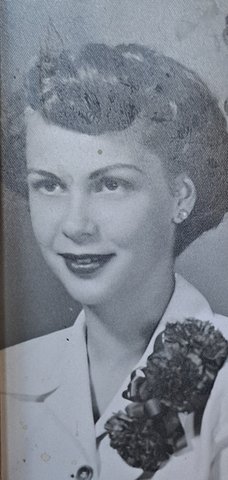 Nancy Diane (née Schneider) Wilkinson - SWNews4U