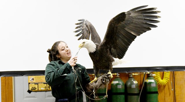 Eagles Days captivates audience – young and old - SWNews4U