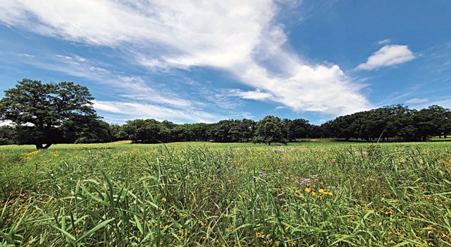 Three Waters Reserve gains conservation easement, protecting future of ...