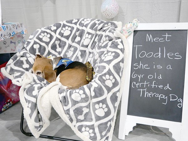 State Line Home Expo coming this weekend - Monroe Times
