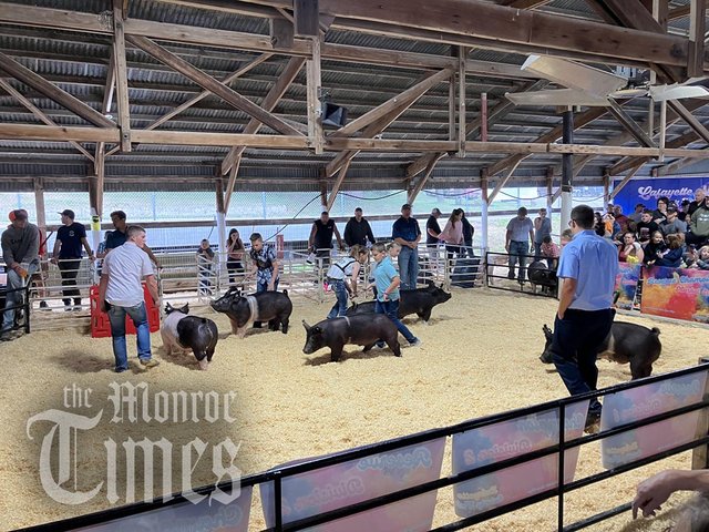 2023 Lafayette County Fair - Monroe Times