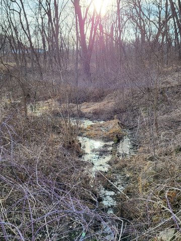 My Return to Phoebe Point Trail - SWNews4U