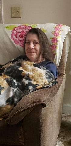 Barbara Lynn (Soehnlein) Sippy - SWNews4U