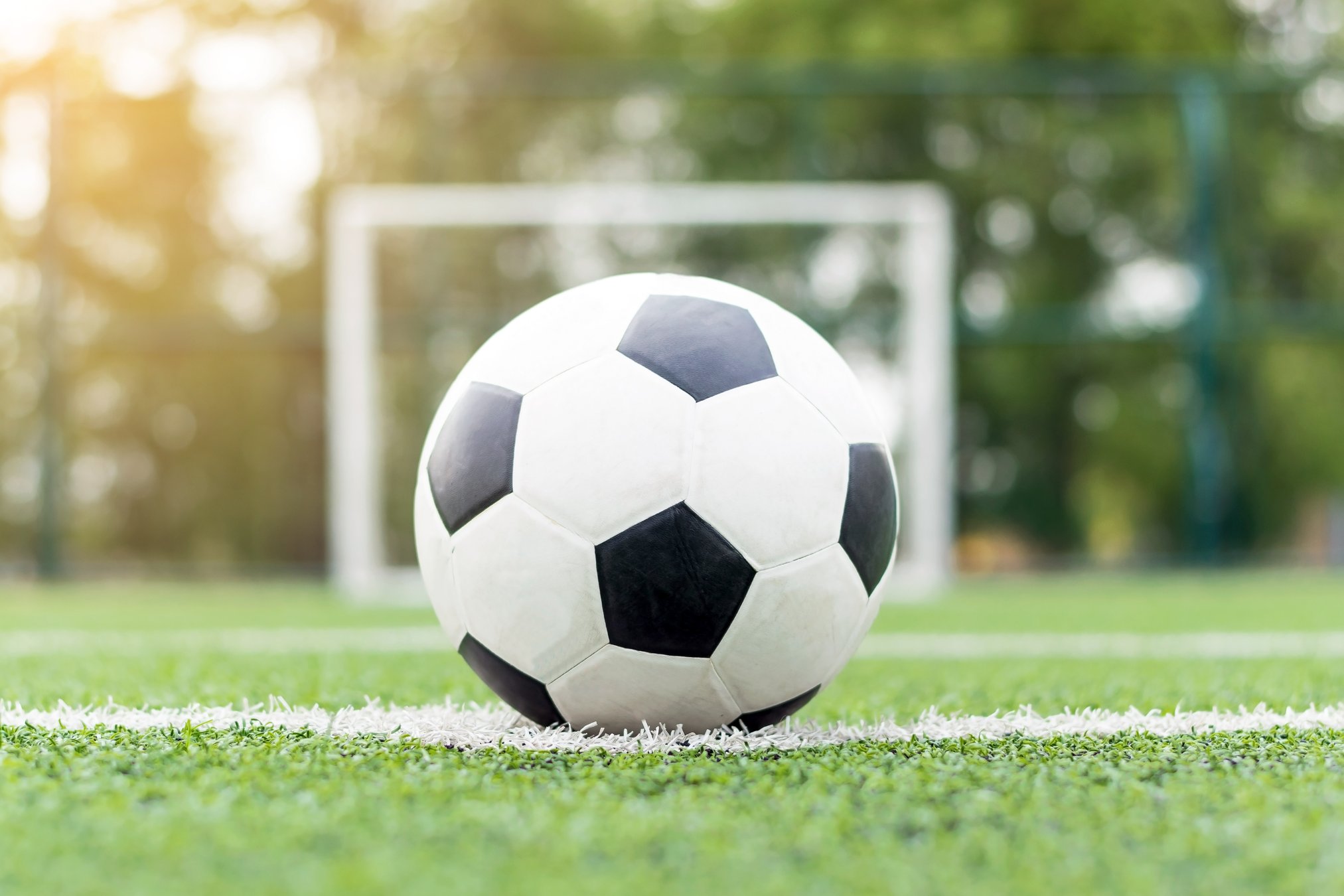 Sugar River Raiders edge PL 3-2, MHS tops Parker - Monroe Times