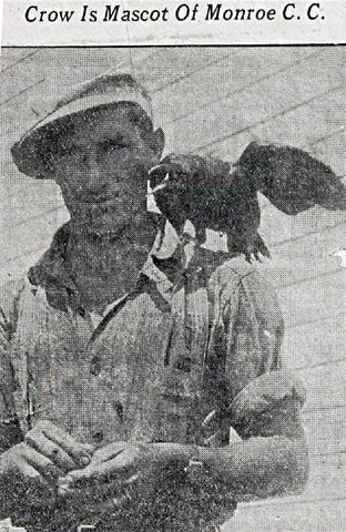 CELEBRATING OUR PAST: Crow is Mascot of Monroe C.C - Monroe Times