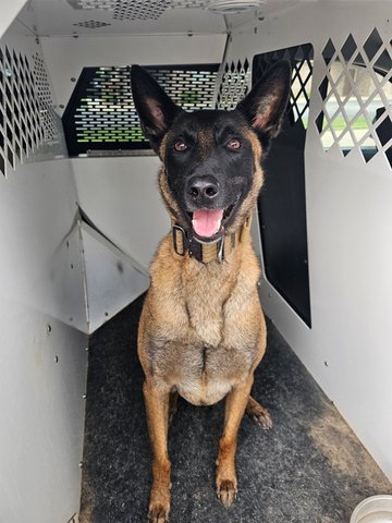 Speak of the devil and he shall appear - Monroe Times