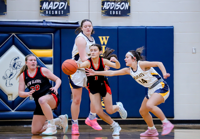 Dahl reaches 1,000; ranked AP defeated at home again - Monroe Times