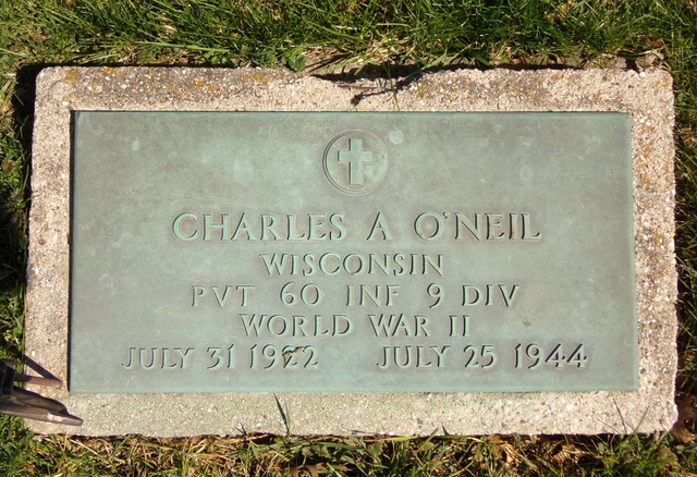 Stories Behind The Stars: Private Charles A. O’Neil - Monroe Times