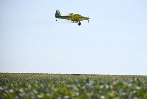 Lena crop-duster killed Tuesday was born in Monroe - Monroe Times