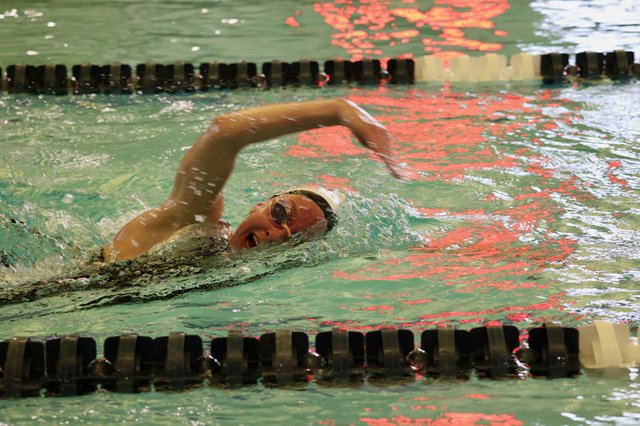 Chapman advances to D1 state championships - Monroe Times